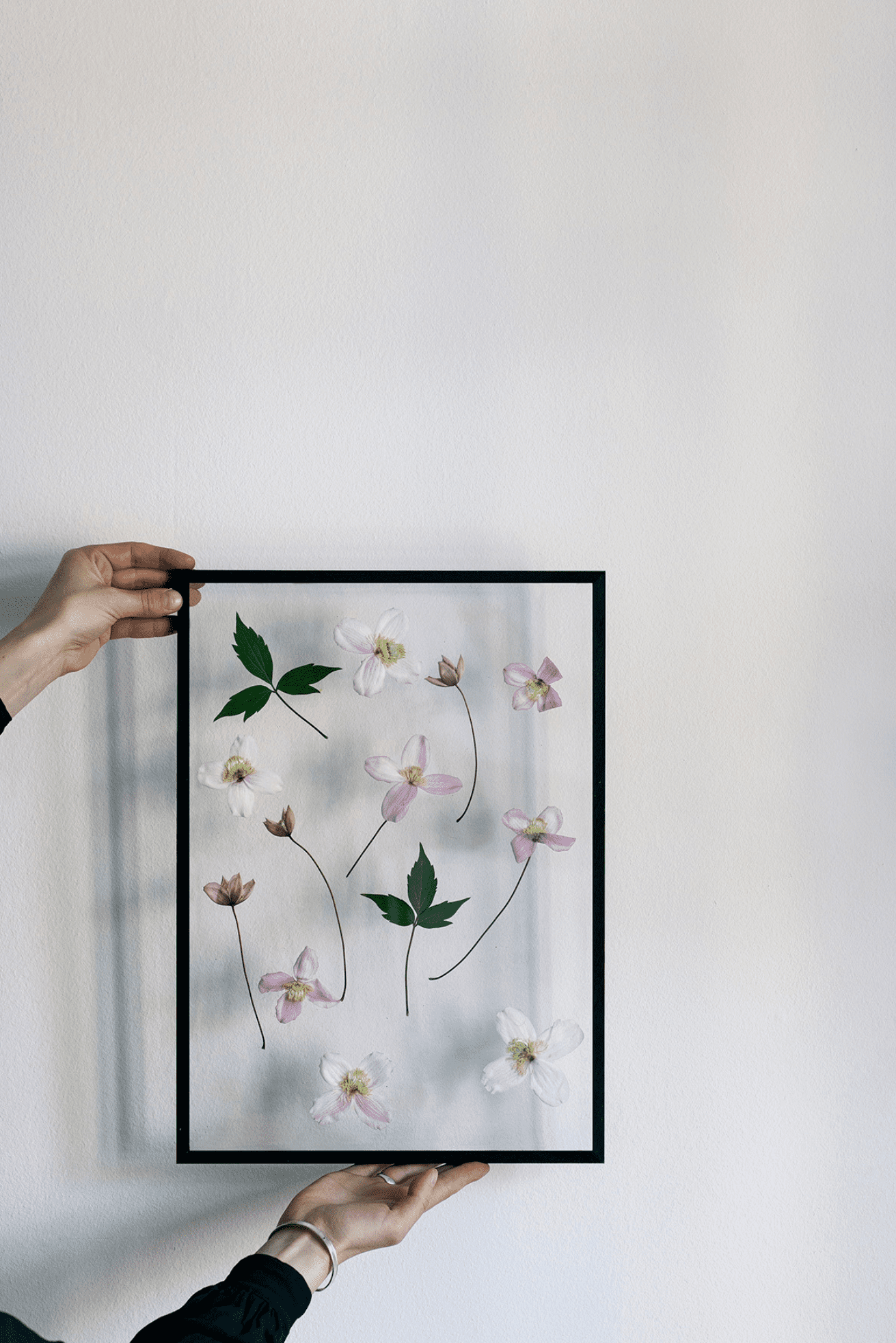 Transparent Moebe Frame Black - THE POSTER CLUB