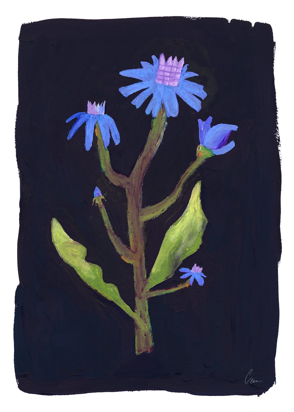Clara Schicketanz, 'Night Flower' exclusively for The Poster Club