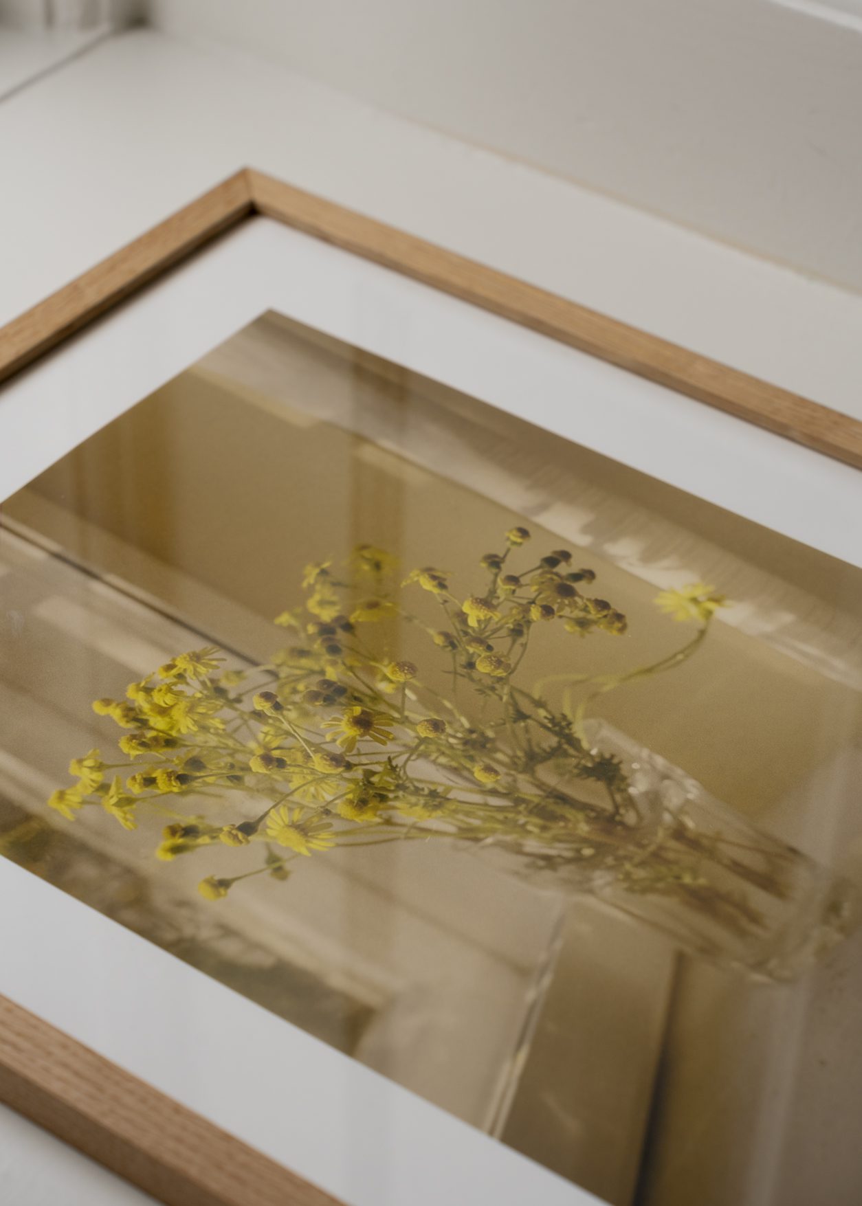 Ana Santl, Warmth - Fine Photo Art print - The Poster Club