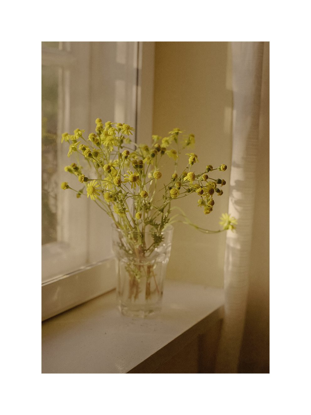 Ana Santl, Warmth - Fine Photo Art print - The Poster Club